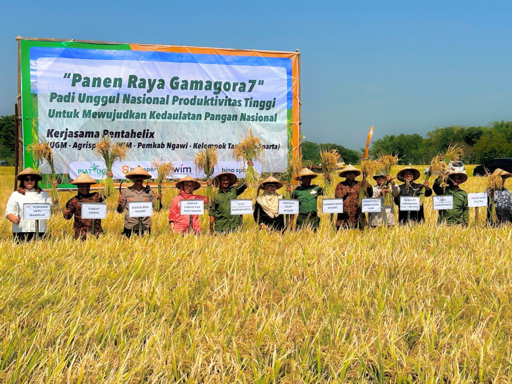 Mengenal Gamagora, Padi Amfibi Solusi Perubahan Iklim – KMSEP UGM